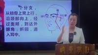《经络腧穴》二十三、手太阳小肠经——快速学会手太阳小肠经的循行...