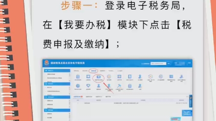 如何下载已申报印花税报表?