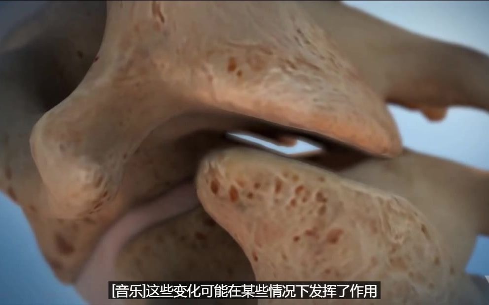 Why Do My Joints Crack? 为什么我们的骨骼关节会有咔咔咔的声音?