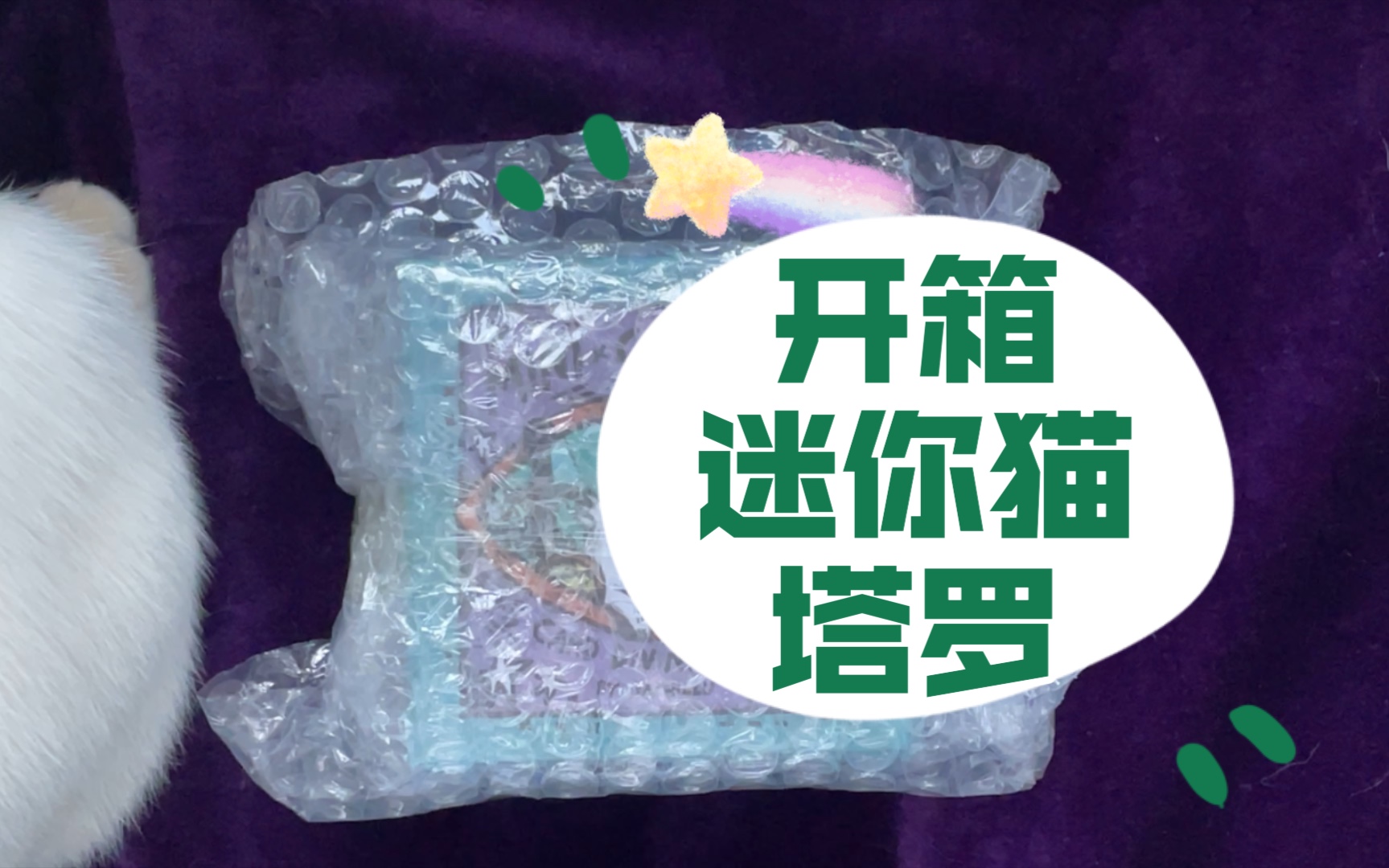 【女王大大塔罗】迷你猫塔罗牌/mini cat tarot开箱
