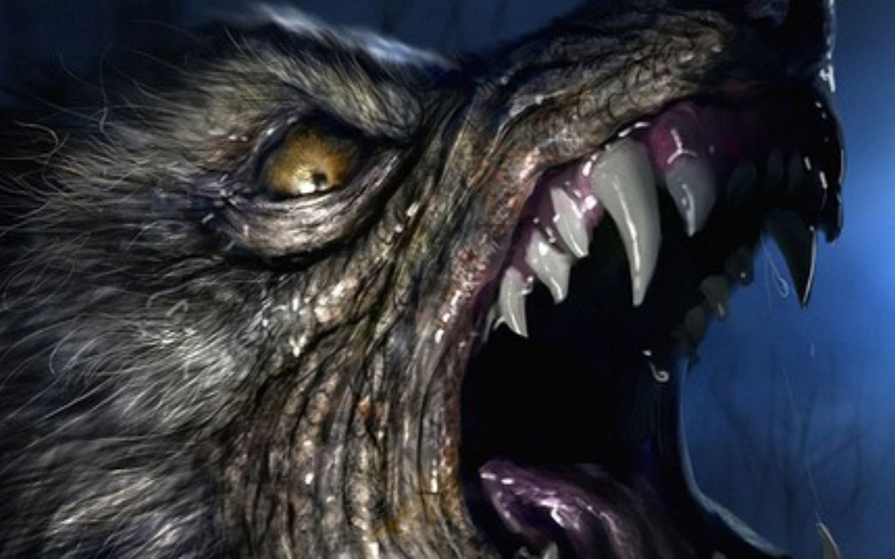 【中文字幕】PS生物动物毛发数字绘画实例训练视频教程 RRCG