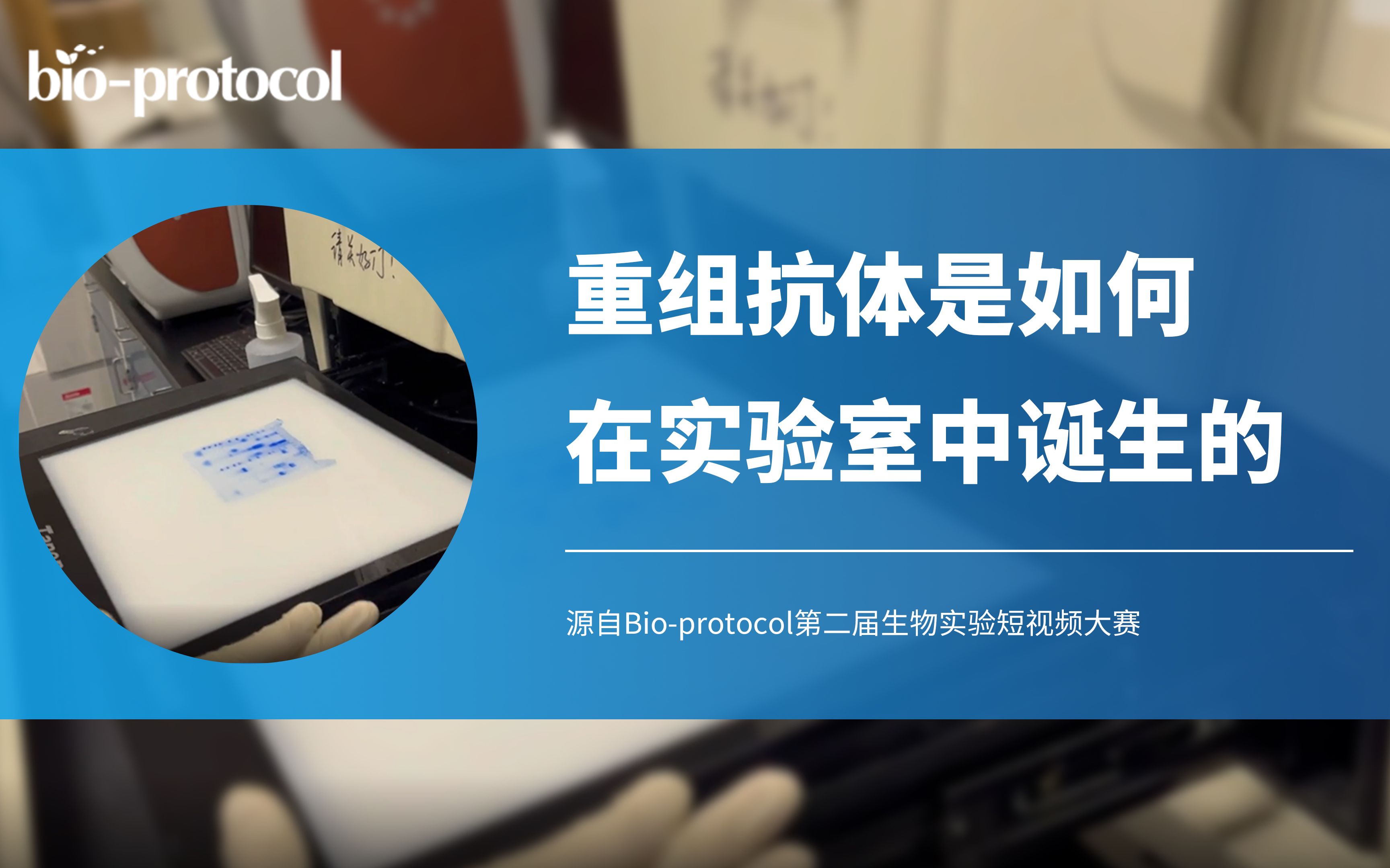 【Bio-protocol】重组抗体是如何在实验室中诞生的