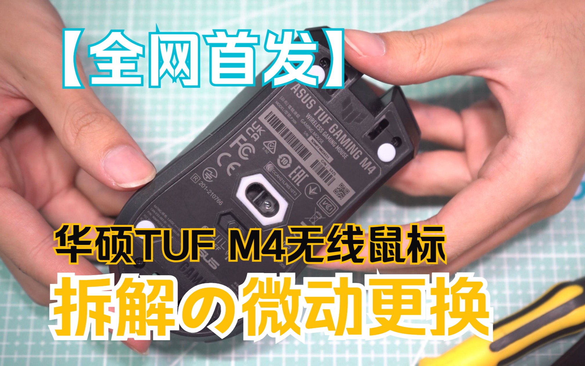 【全网首发】华硕TUF M4(天选)无线双模鼠标拆解の更换静音微动