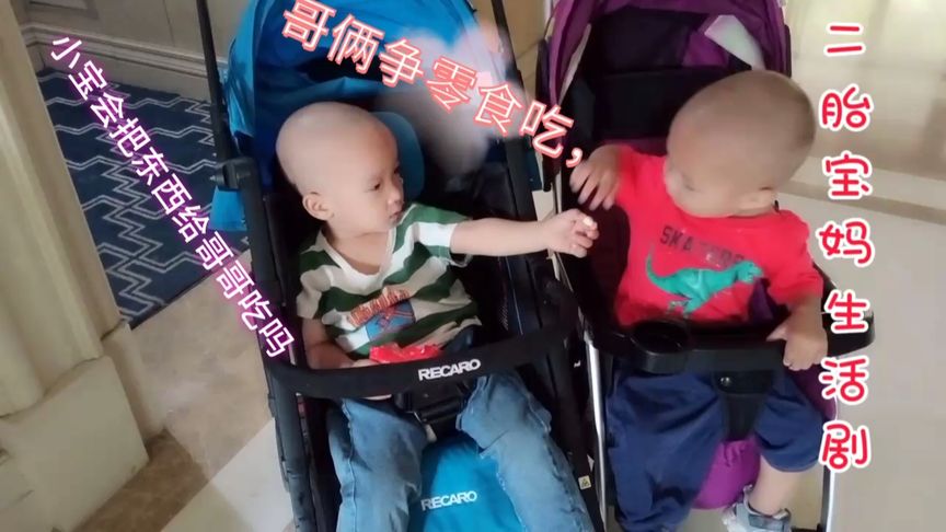 硕硕想吃弟弟零食,弟弟会分享给哥哥吗?