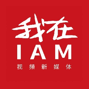 我在短视频 