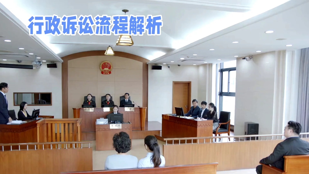 行政诉讼流程解析
