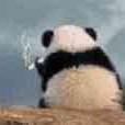 RM的甜蜜暴击 