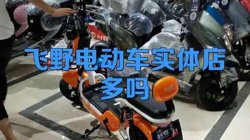 揭秘飞野电动车门店数量:你的城市有几家?