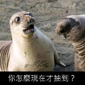 你到底是不是无线网 