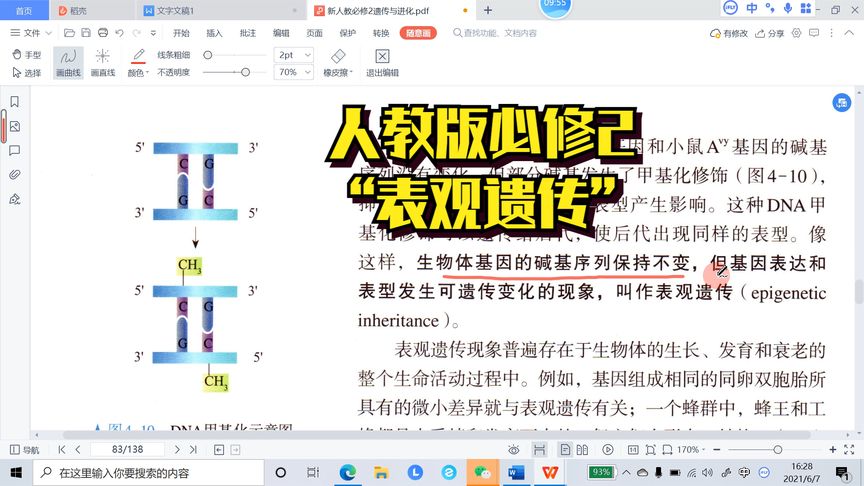 人教版高中生物学必修2预习辅导“表观遗传”