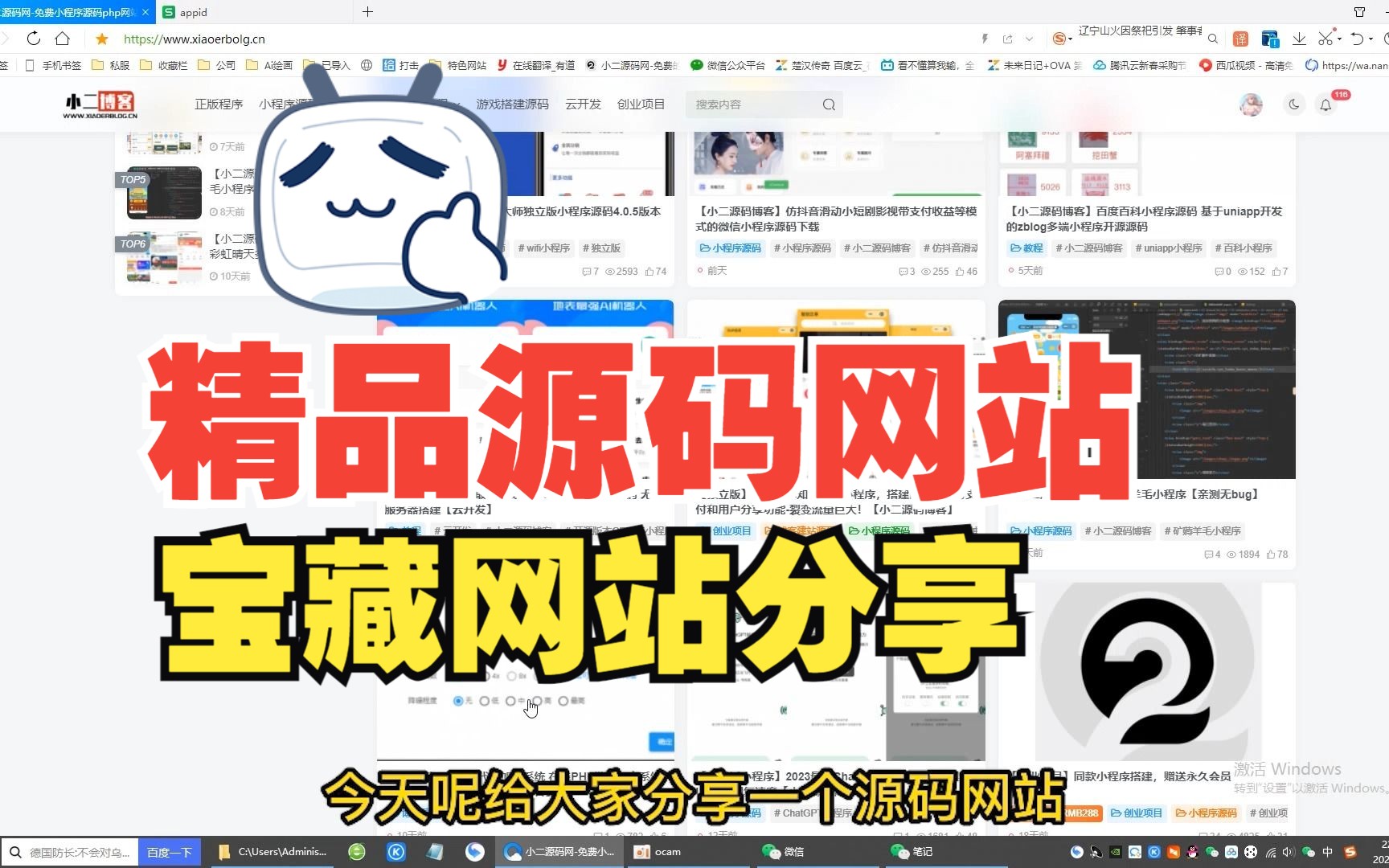 分享一个做副业最有潜力的源码网站,里面各种小程序建站源码项目