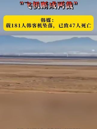"飞机断成两截" 韩媒: 载181人韩客机坠落,已致47人死亡