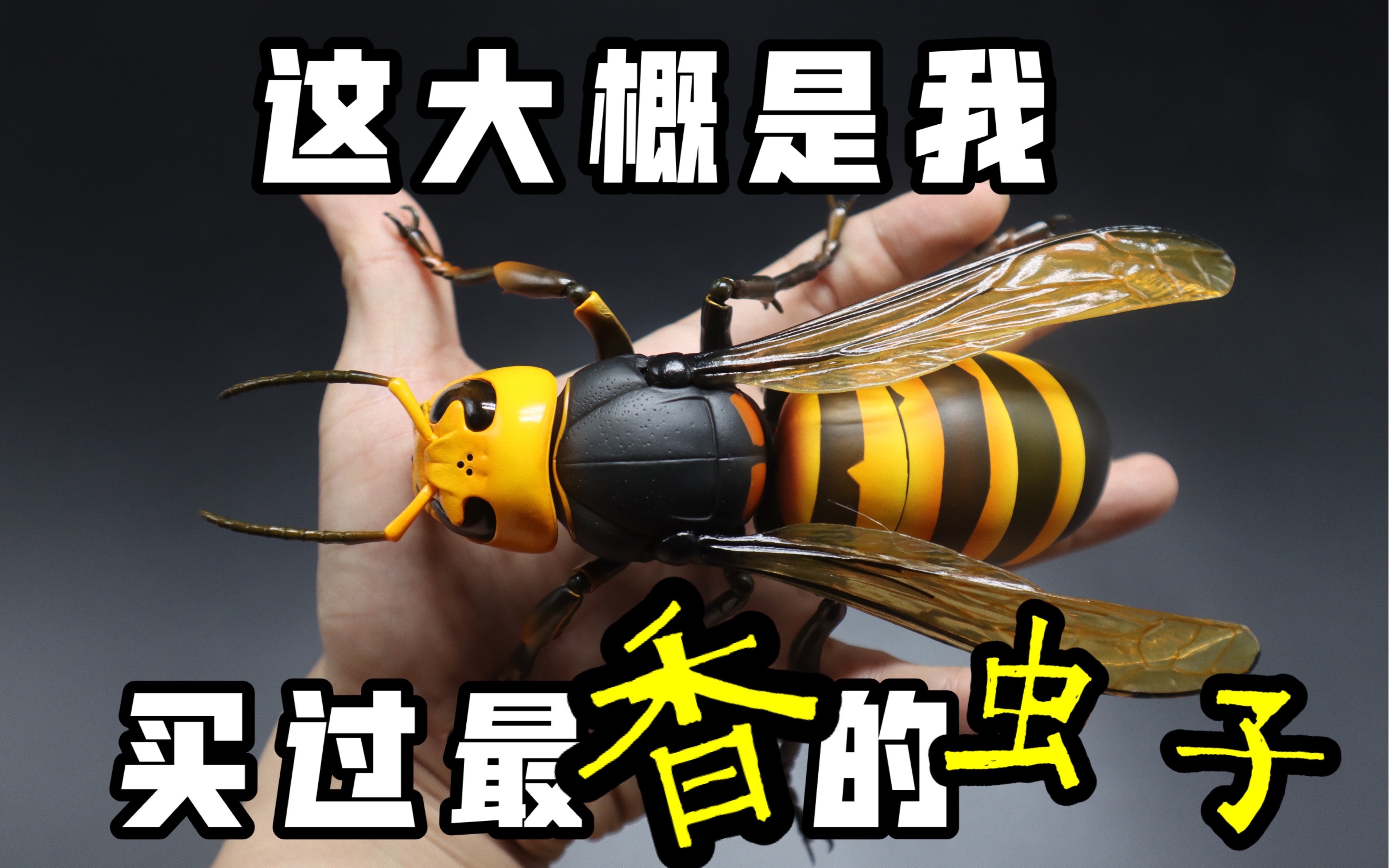 这大概是我买过最香的虫子了!开箱海洋堂Revo Geo大雀蜂,2020最值得...
