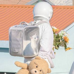 开发界的一个人 