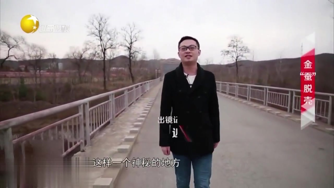 柞蚕一生经历四次重生,小小的身躯蕴藏东方文化精髓丨风物辽宁