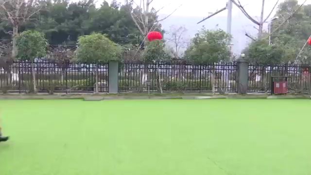 宣传冠状病毒肺炎