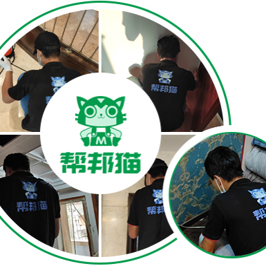 广州帮邦猫防水补漏 