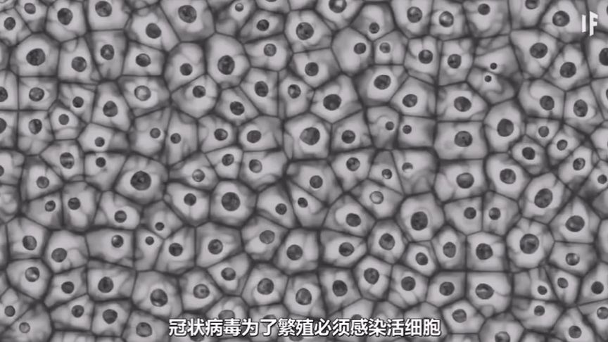 感染了新型冠状病毒会怎么样