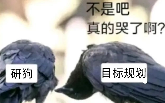 运筹学 5.4线性目标规划的图解法【考研/本科生学习/运筹学清华出版社...