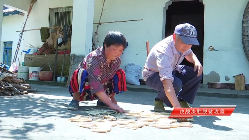 “林长制+生态护林员” 促生态建设与精准扶贫“双赢”