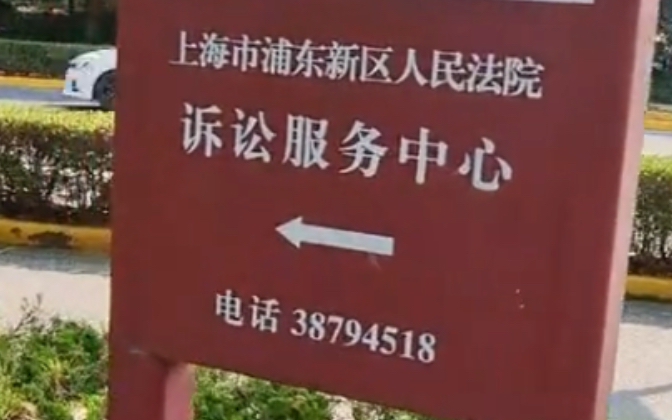 浦东新区人民法院执行异议案件开庭听证,律师日常。生活工作记录。...