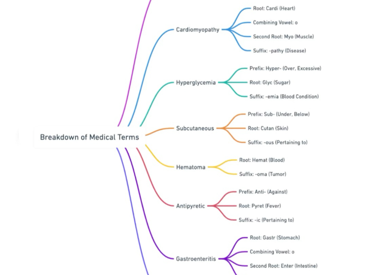 医学英语术语 |医学术语分解