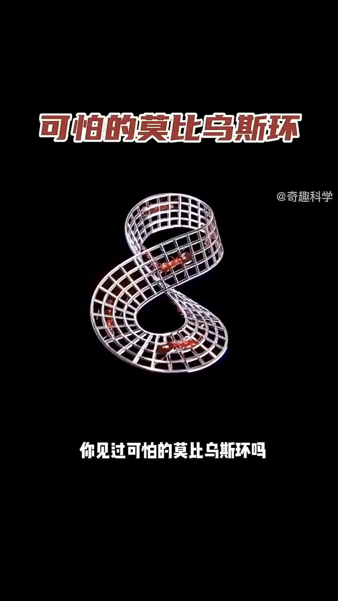 你见过可怕的莫比乌斯环吗?一个无限循环