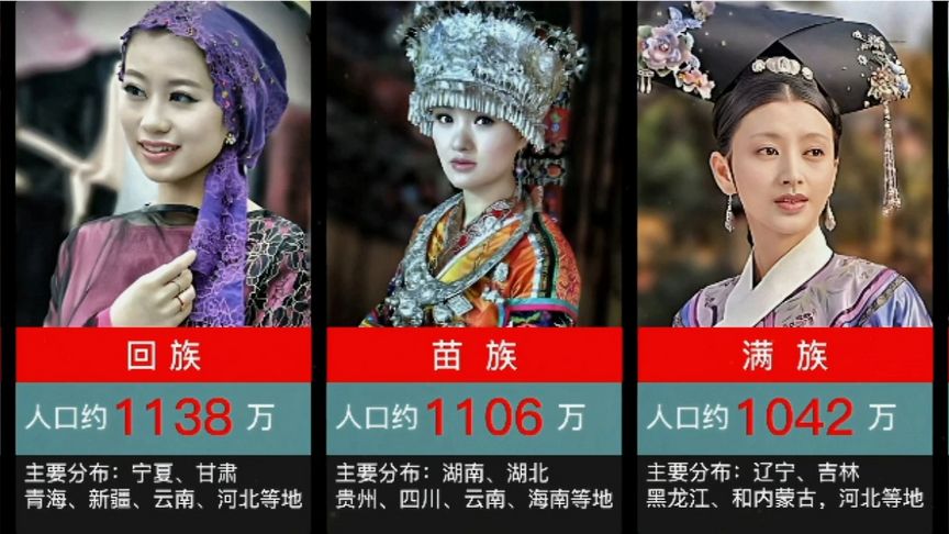 五十六个民族,前二十排名,人口数量及地理分布