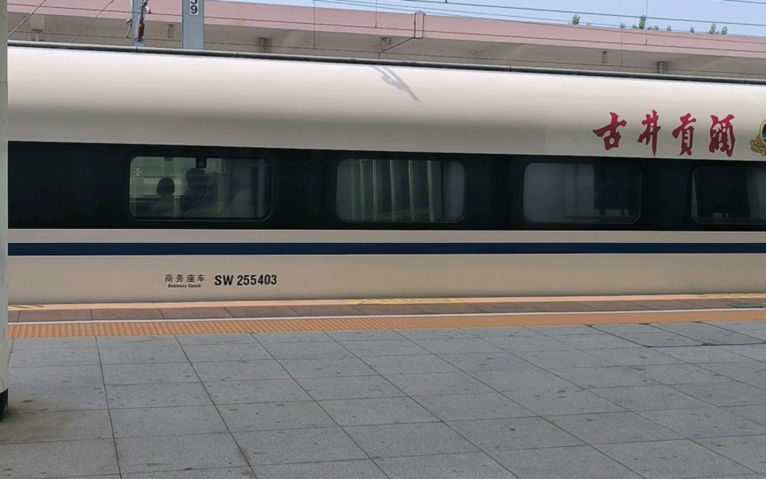 G2815次列车辛集南站出站 2023年5月11日 车组号CRH380AL-2554
