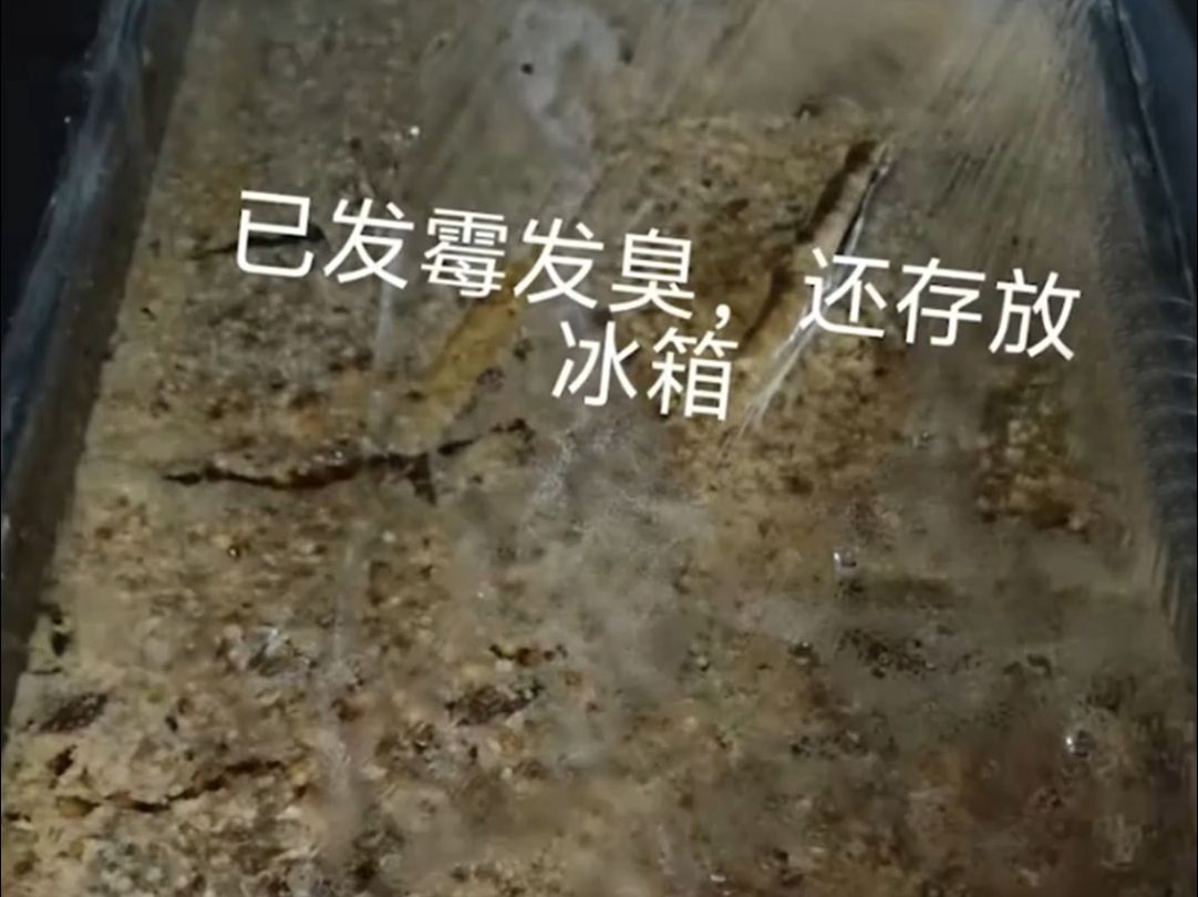 广州大学食堂员工曝光食堂使用过期食材,称向领导反应后被开除