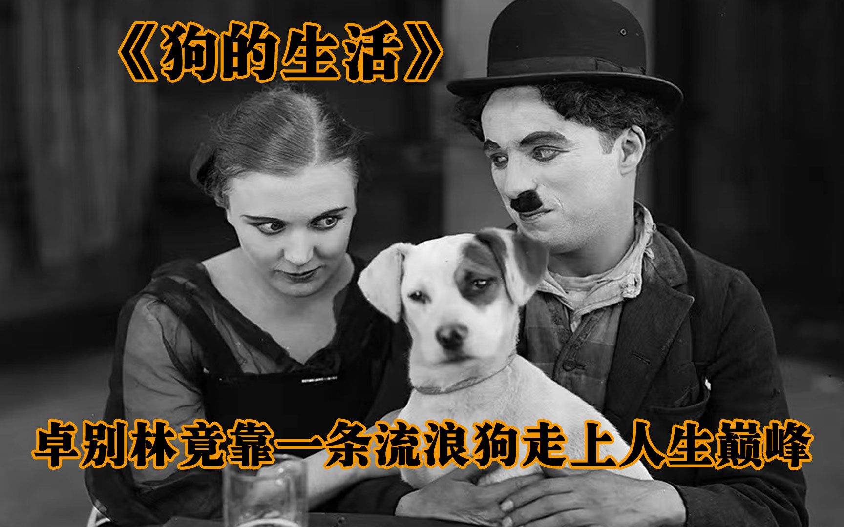 卓别林竟靠一条流浪狗走上了人生巅峰,这部1918年的电影中,有无数个...