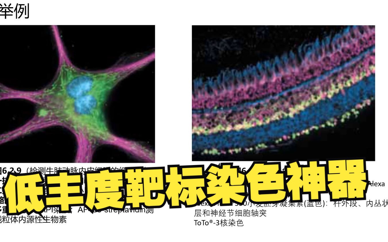 【原理学习】基于信号放大的超灵敏的检测技术