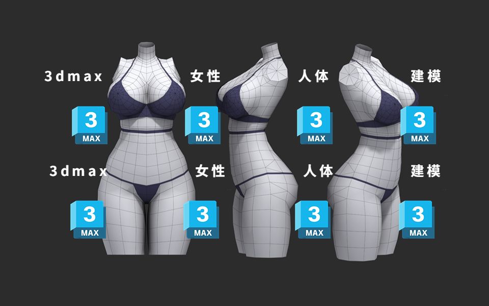 【3dmax建模】性感御姐内衣模型,女性人体机构结构详解