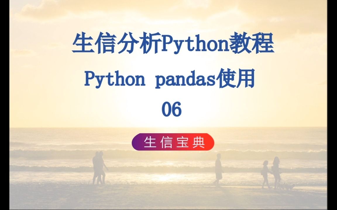 P43 Python pandas使用06