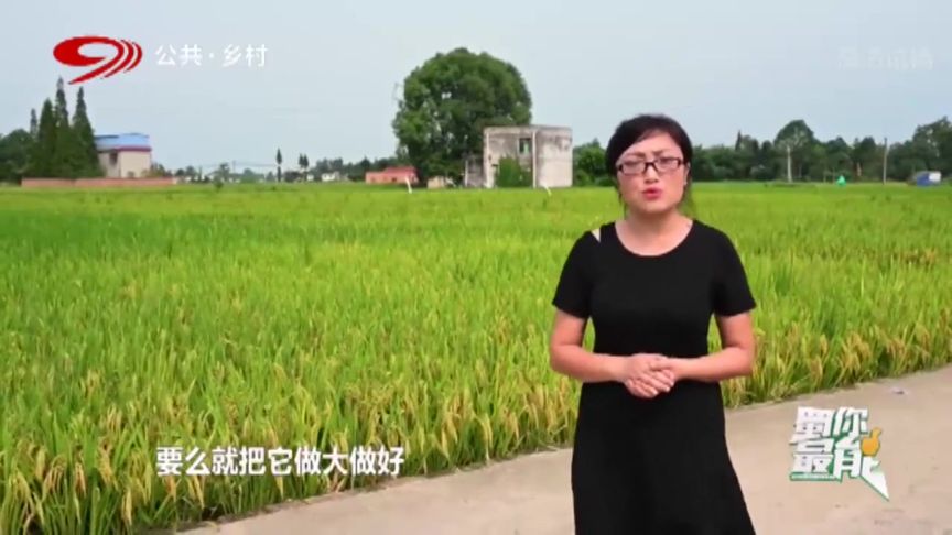 机器代人工?女老板想到这办法种水稻,结果1000亩地年产值300万