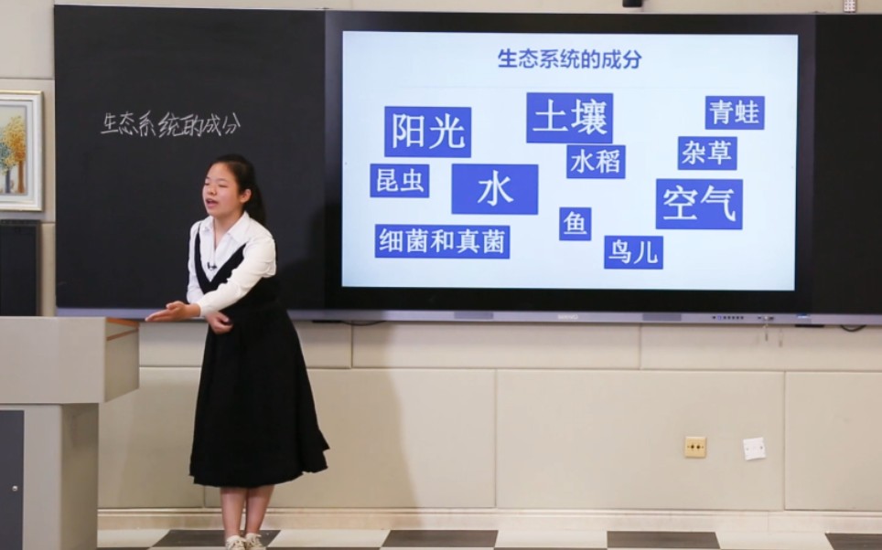 济南版初中生物《生态系统的组成》参赛视频