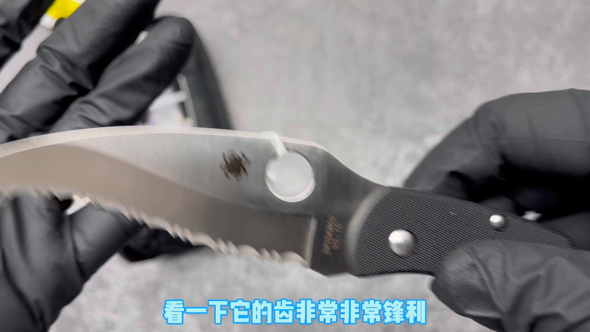 蜘蛛 文官 全吃切肉最最最锋利的一款全齿爪 超级喜欢的一支阴险的文官