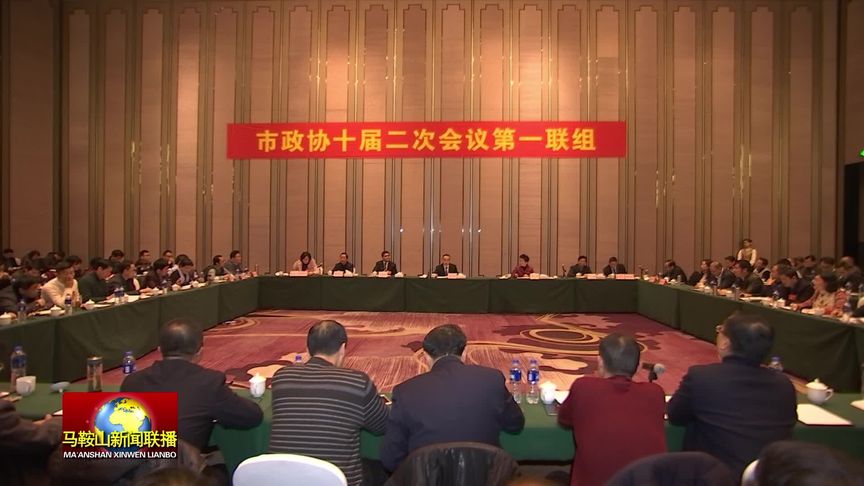 马鞍山市政协十届二次会议四场专题议政会举行