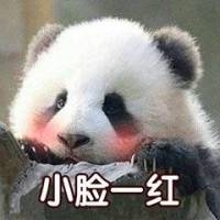 柠檬naigai 