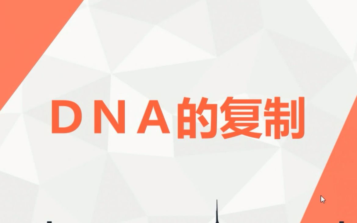 【高中生物必修二】DNA的复制