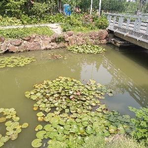 寻找远方的风景与活着 