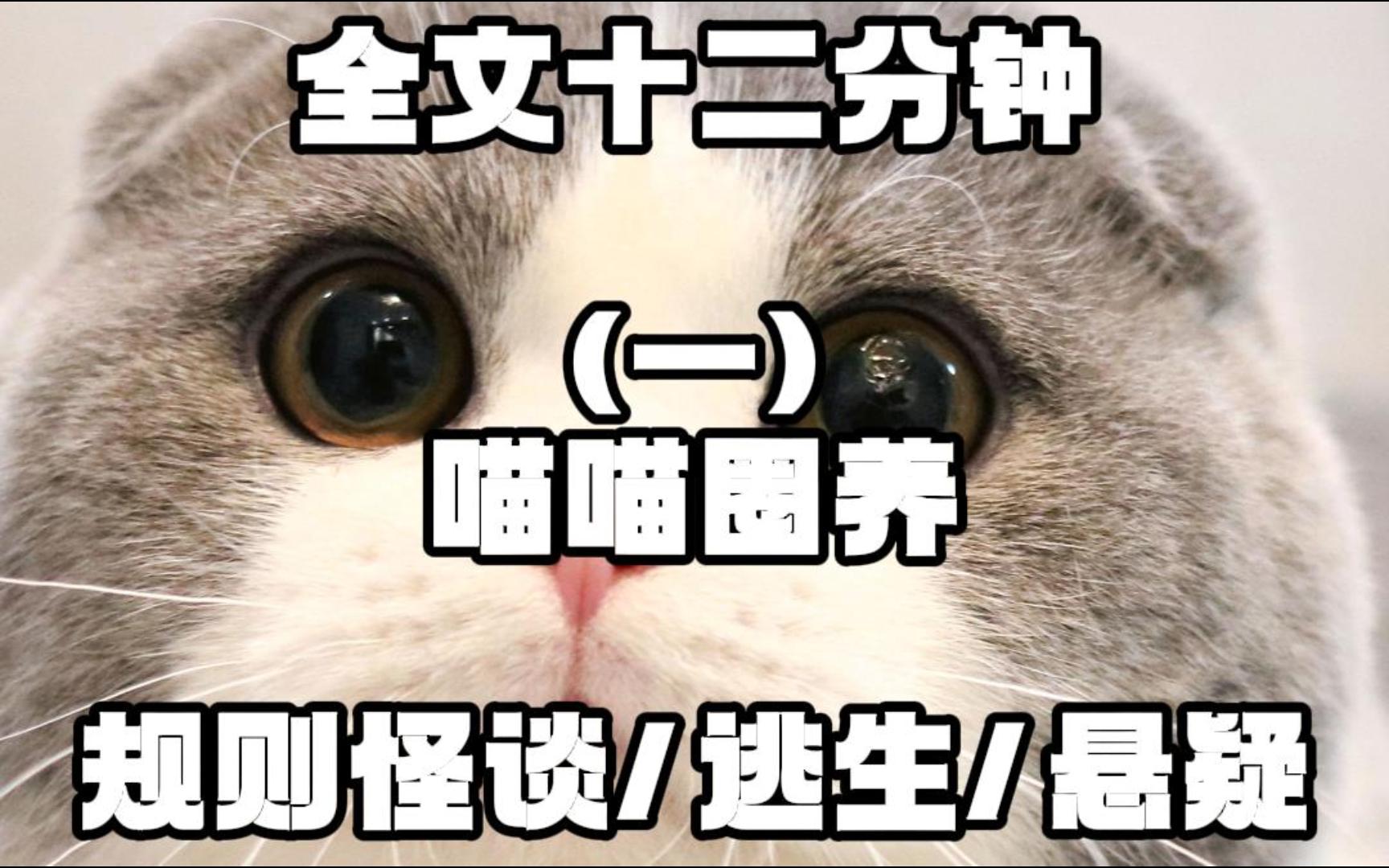 【规则怪谈】(一)「不要碰屋内任何红色的东西。」所有人都依言避免...