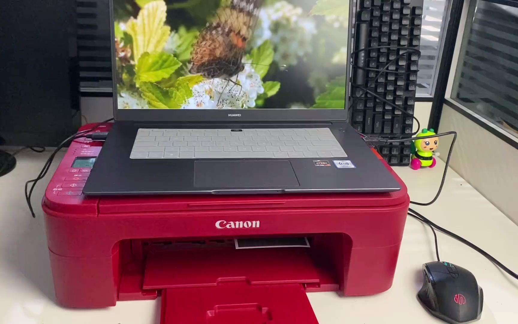 自从有了打印机 想要收藏的照片就可以随时随地打印了