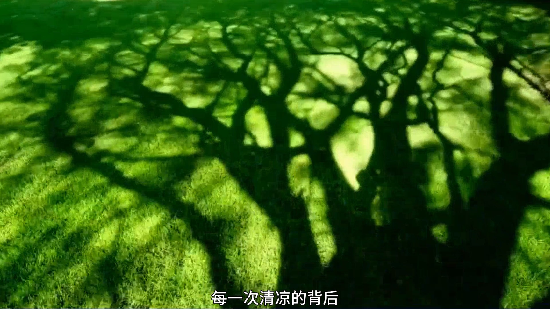 空调维修调试必备,德图数字式真空表