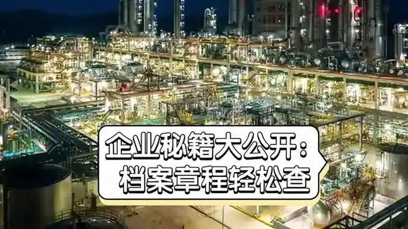企业秘籍大公开:档案章程轻松查