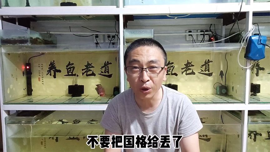 鱼友群里有国外友人、有女士和小朋友,请使用文明用语