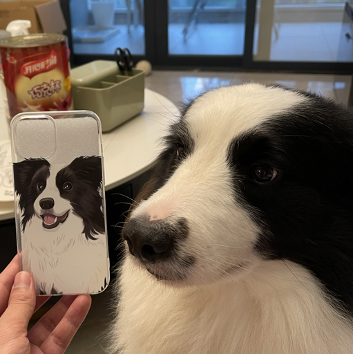 抓住小廖的尾巴 