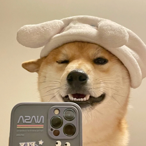 眼中犹如星河 