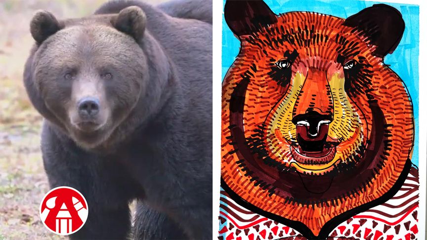 熊大哥说你在看我吗?手绘大块头棕熊简笔画示范