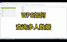 16-WPS如何查询多人数据